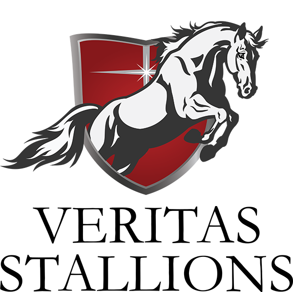 Veritas Academy – MCAC Boys Soccer